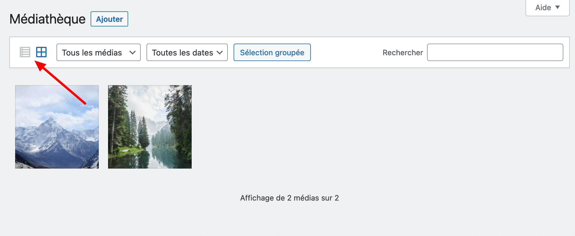 Back office WordPress : découverte, gestion et astuces